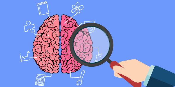 Conceptos BÁsicos De La Neurociencia